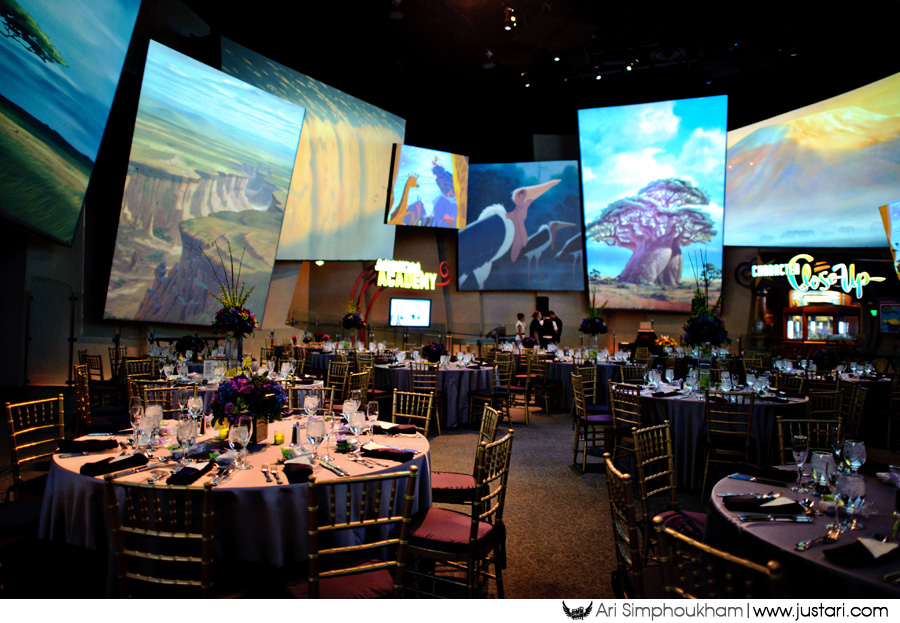 Disneyland California Adventure Wedding Animation Room – Ari ...